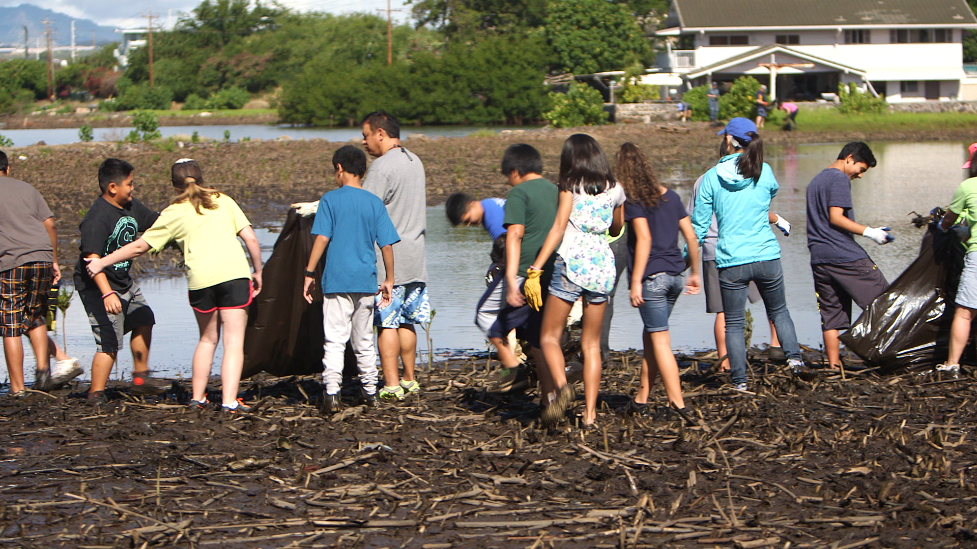 Environmental Stewardship